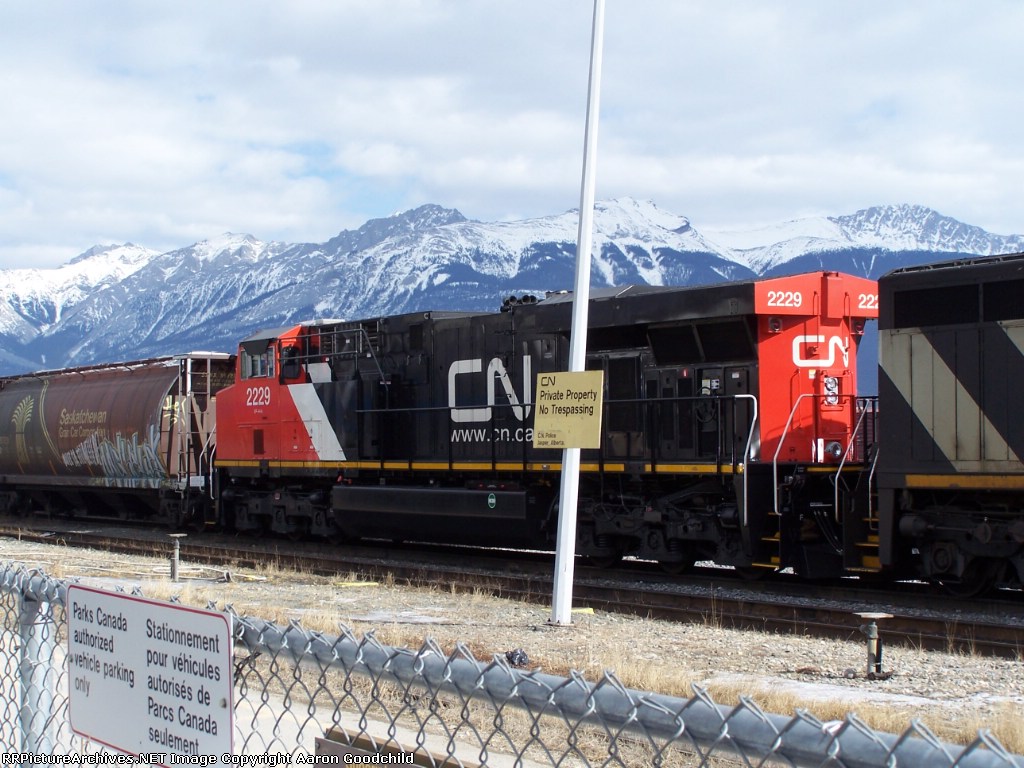 CN 2229